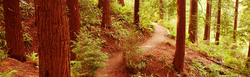 Work - Dusty B Design